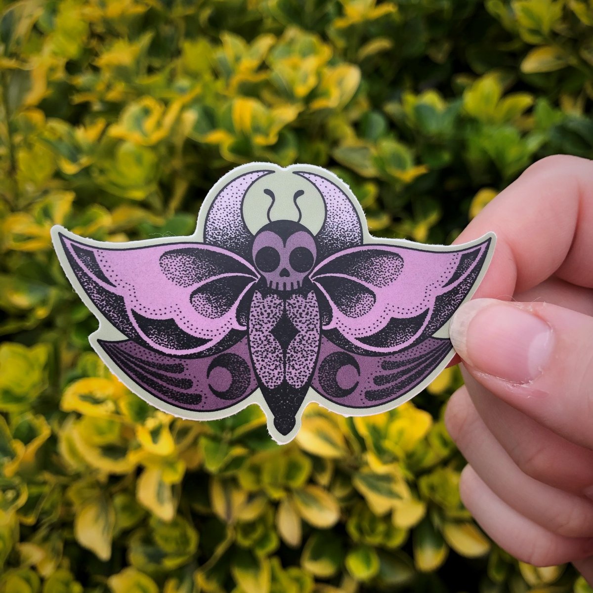 death head moth sticker | Espy Marie Studio