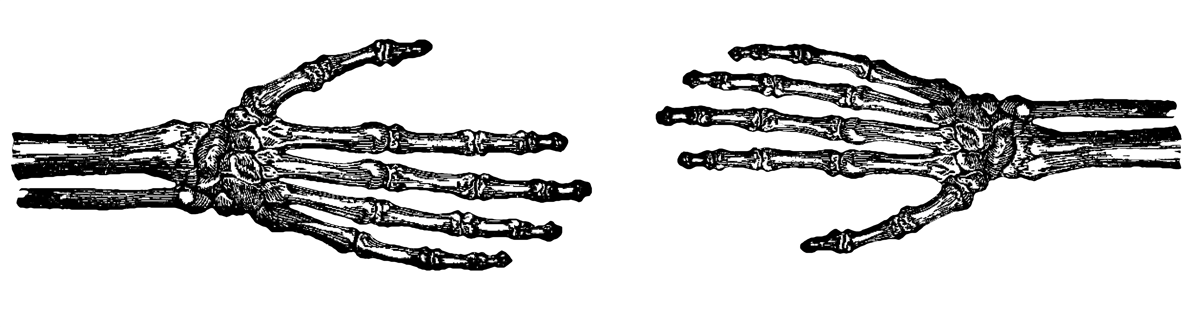 shaking bones | Esoteric Bumper Stickers