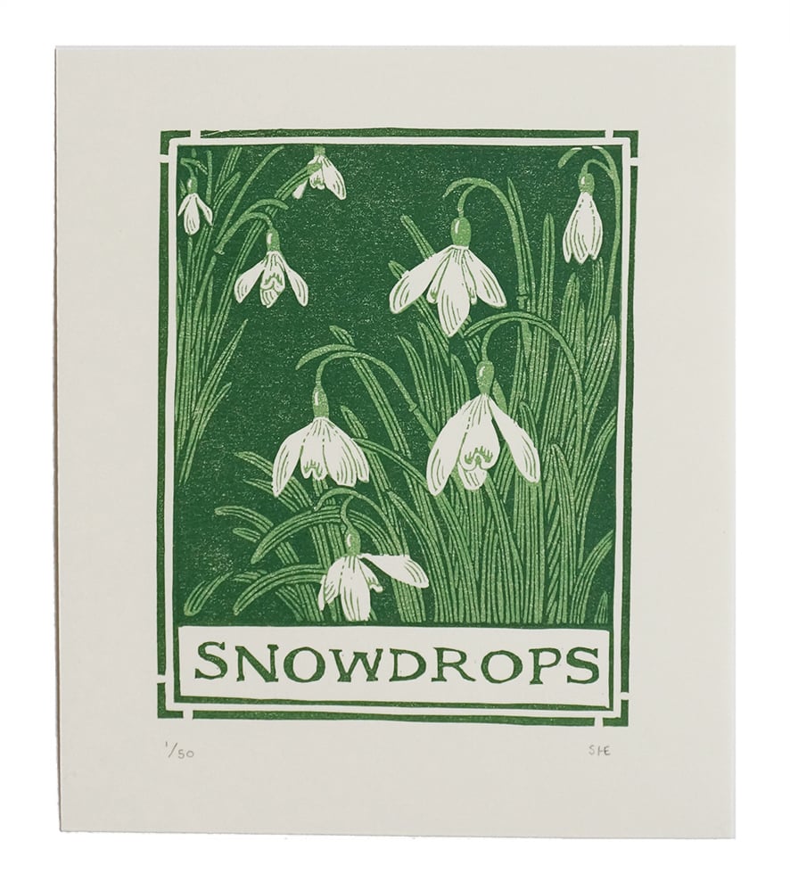 Snowdrops - Linocut | Sophie Elm