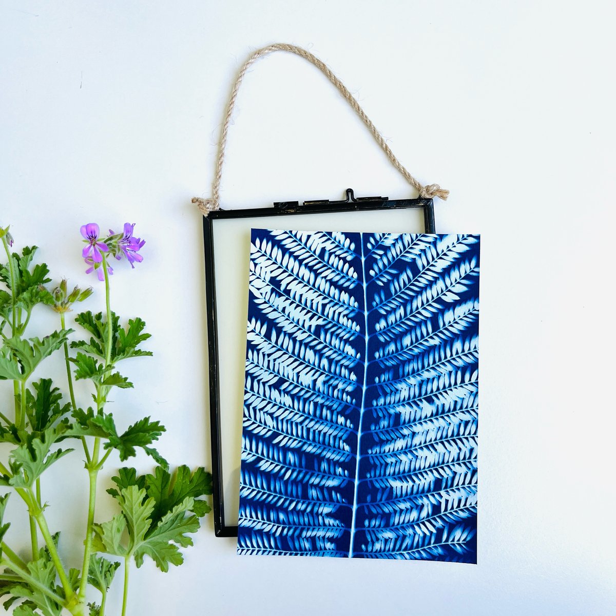 Jack - Mini Framed Cyanotype | My Little Print Studio