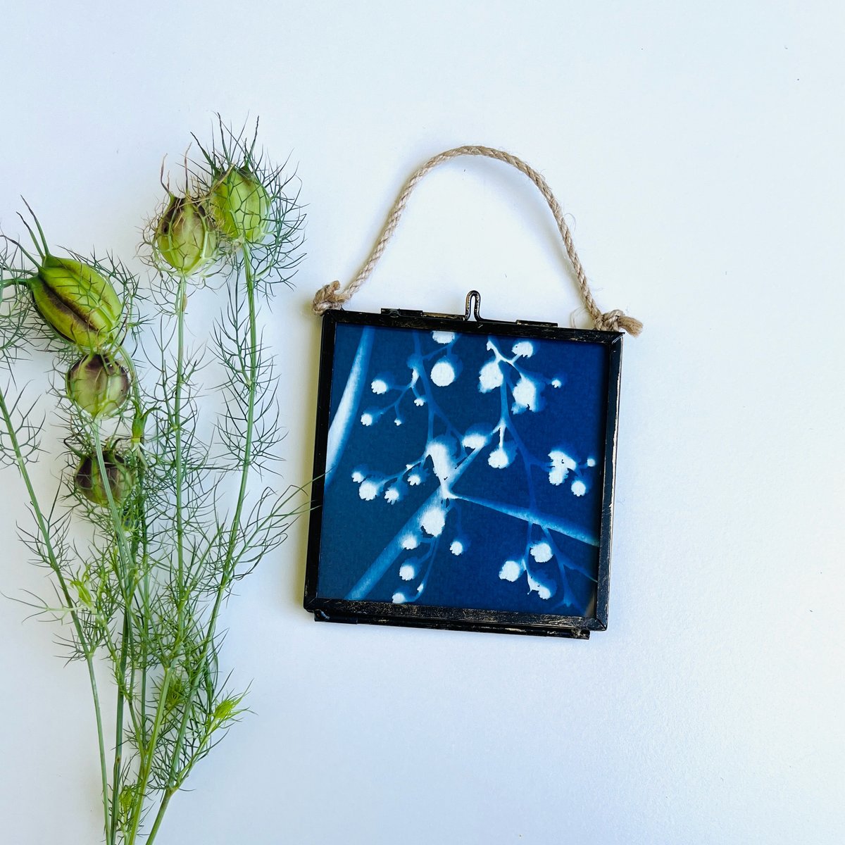 To Be Free - Mini Framed Cyanotype | My Little Print Studio
