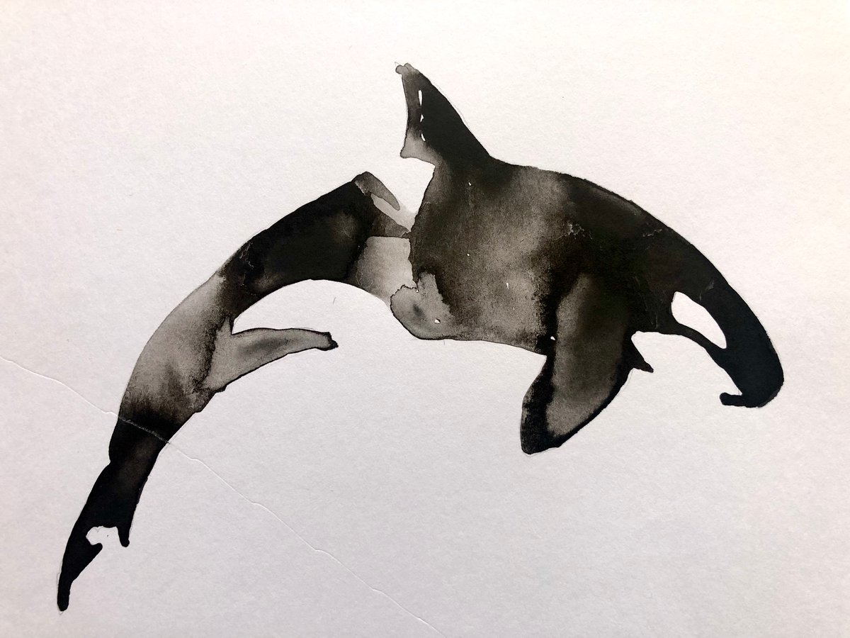 Orca | Visual Artist Emma Grice