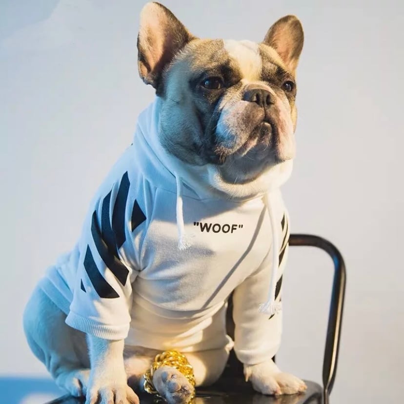 Home | thedogface