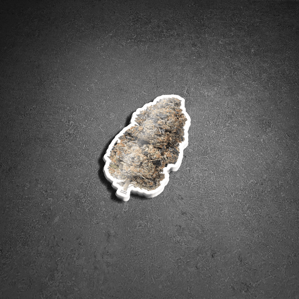 Home | SinCity Style