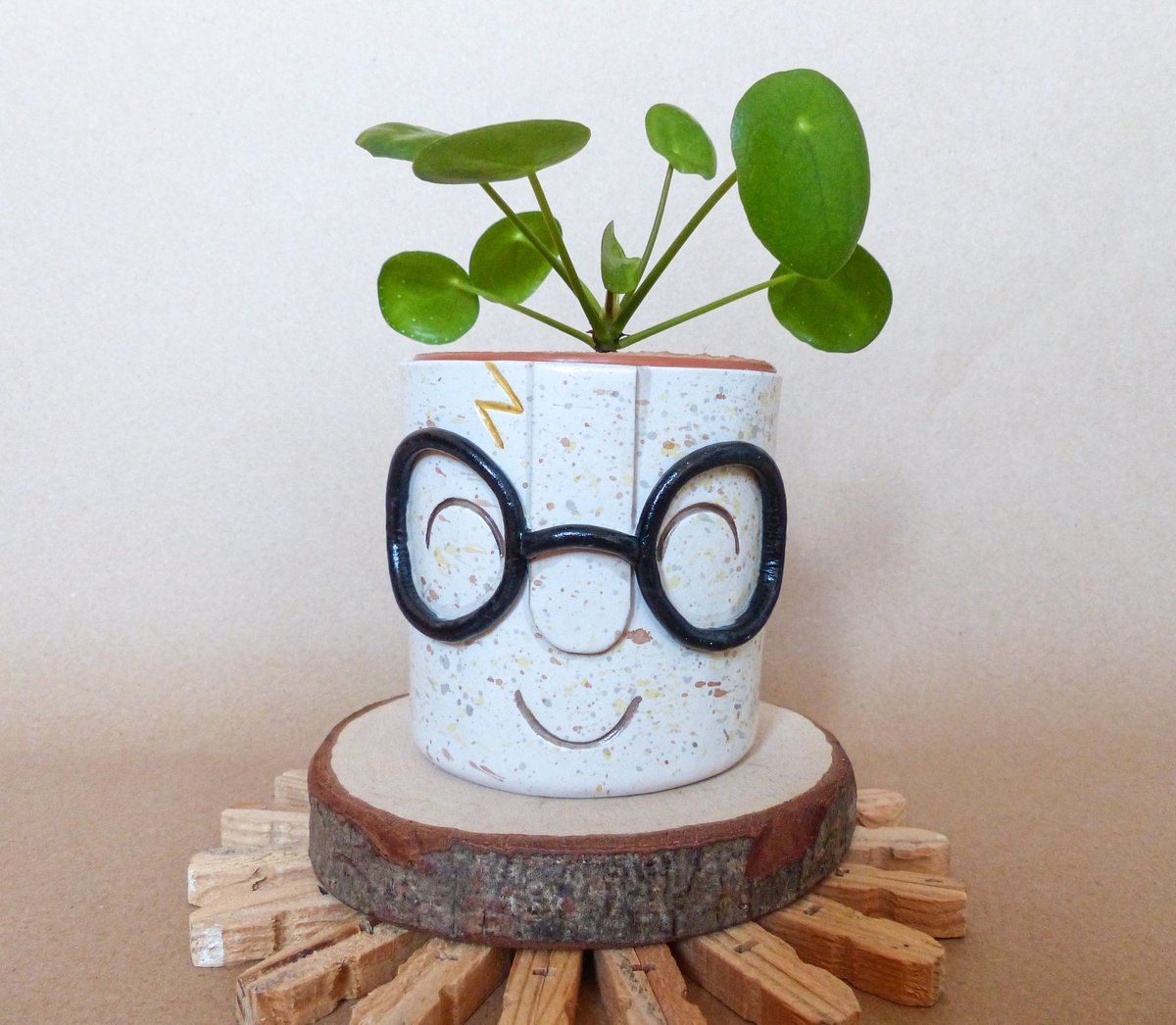 Harry Pot Face Pot | Homemade with Lindsay