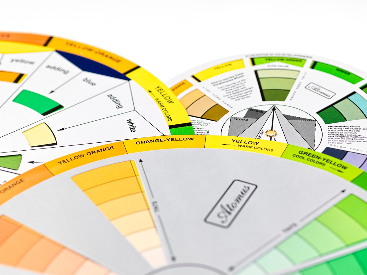 Rueda de Colorimetría Grande | Anitta Ruiz