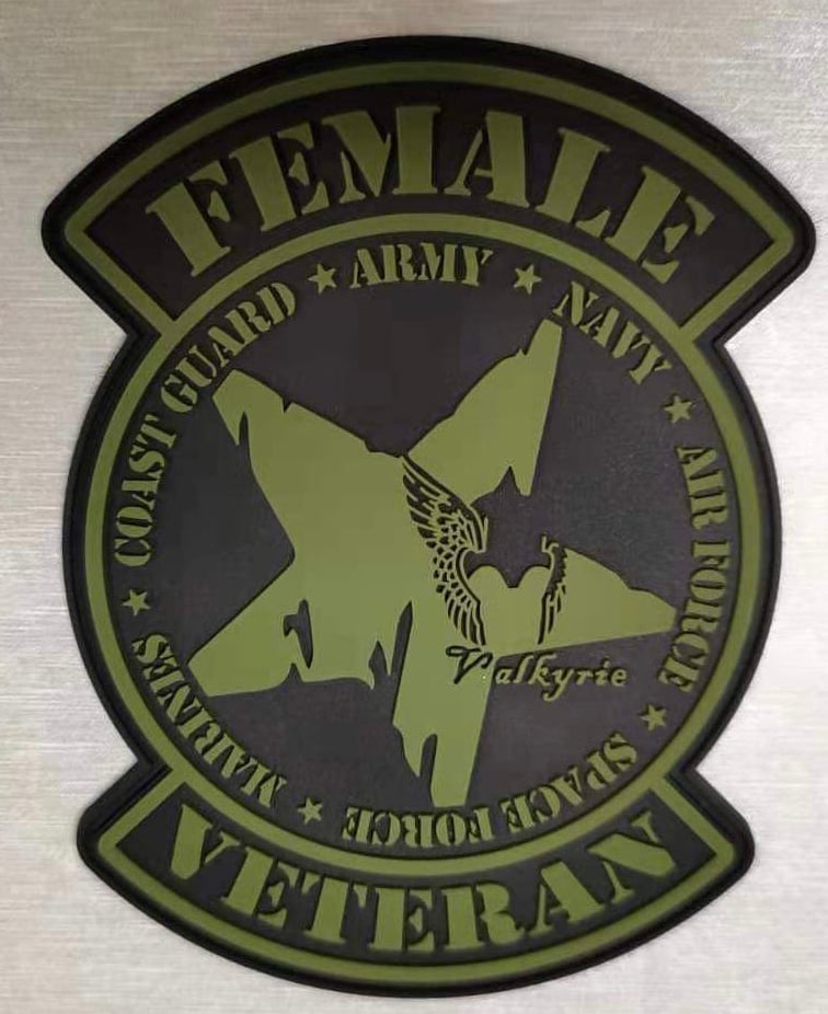 Home | Vigilant Valkyrie