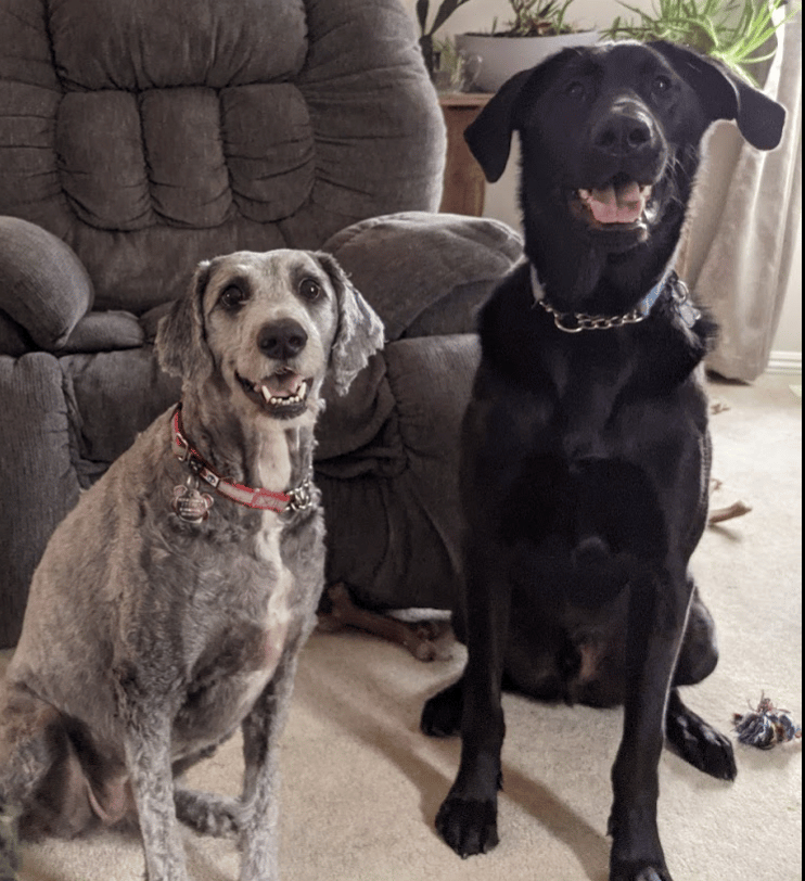 Buy This Picture! | Lightforge