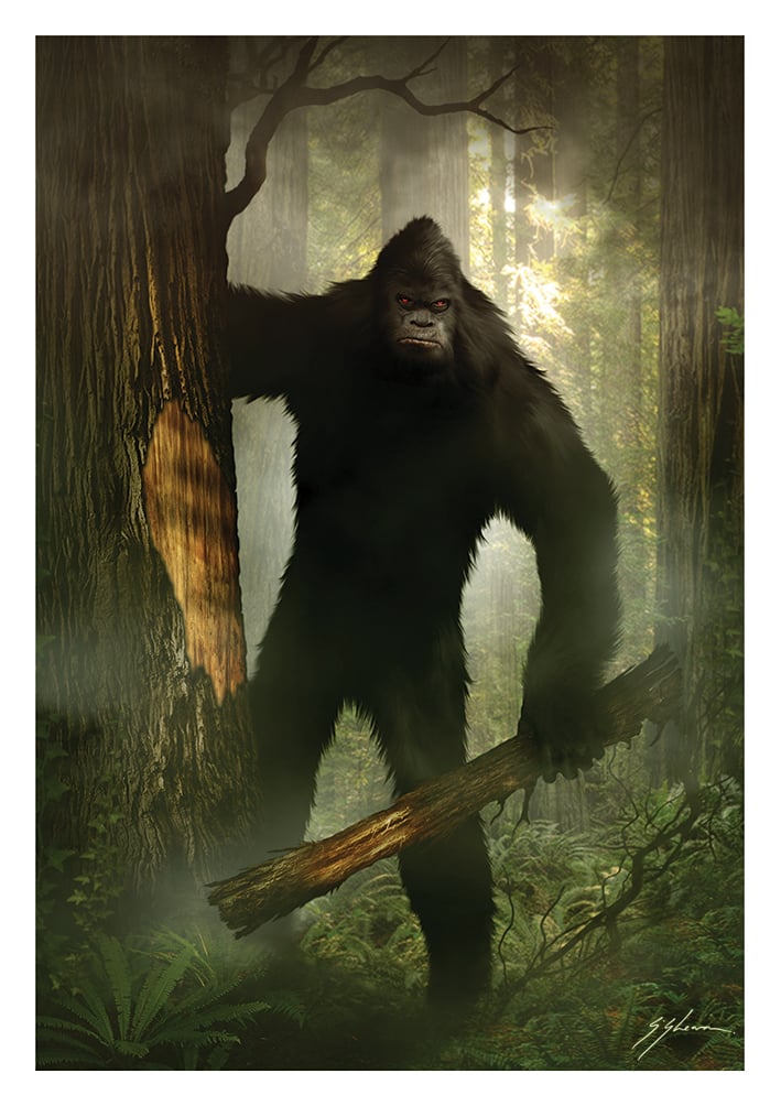 WOOD KNOCKER | Mister Sam Shearon