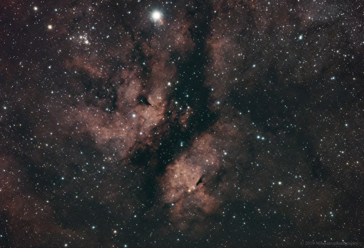 Sadr Nebula /IC 1318 | Antimatter Studios LLC