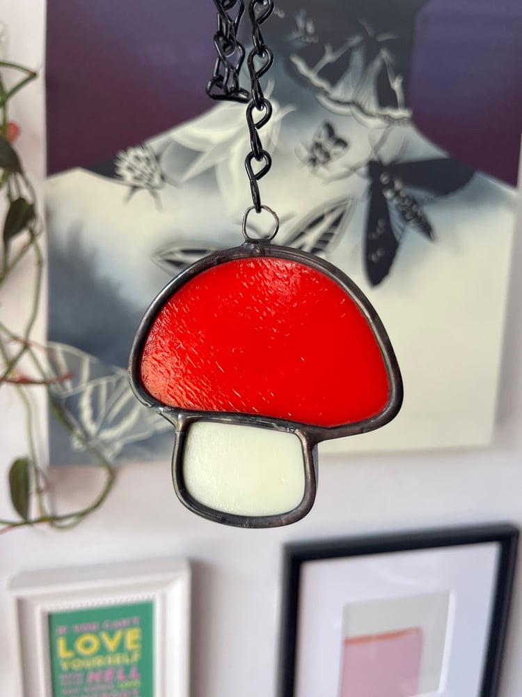 Products | Studio Warped