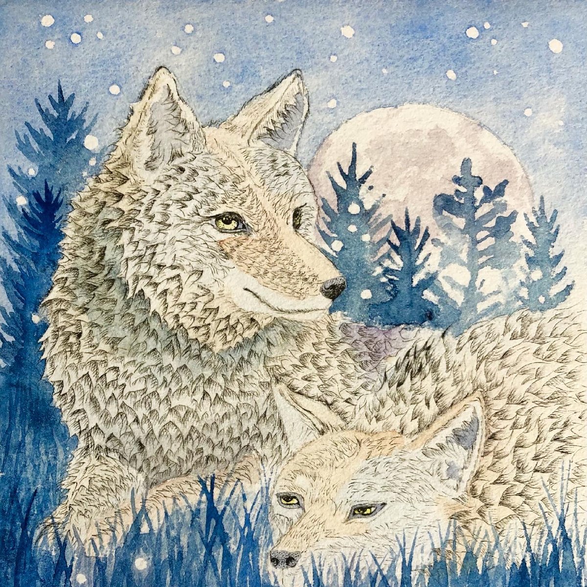 Two Coyotes | Jen Toledo
