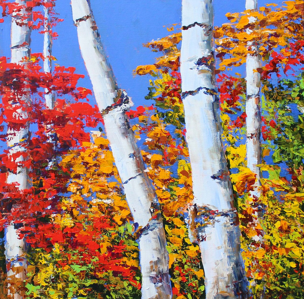 - Autumn Colours - | Jamie MacLean Fine Art