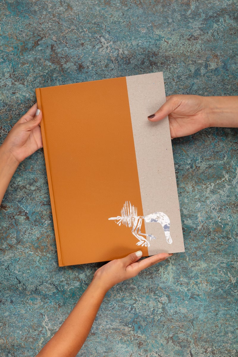 Diplodoclus 2014–2021 —LPPL with Åbäke | Dent-De-Leone