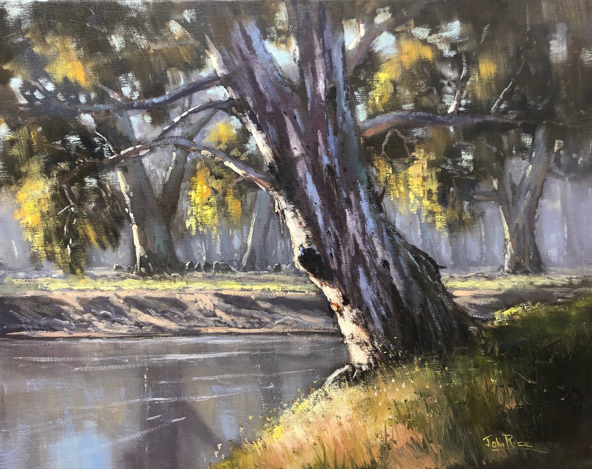 On The Murrumbidgee | John Rice Gallery