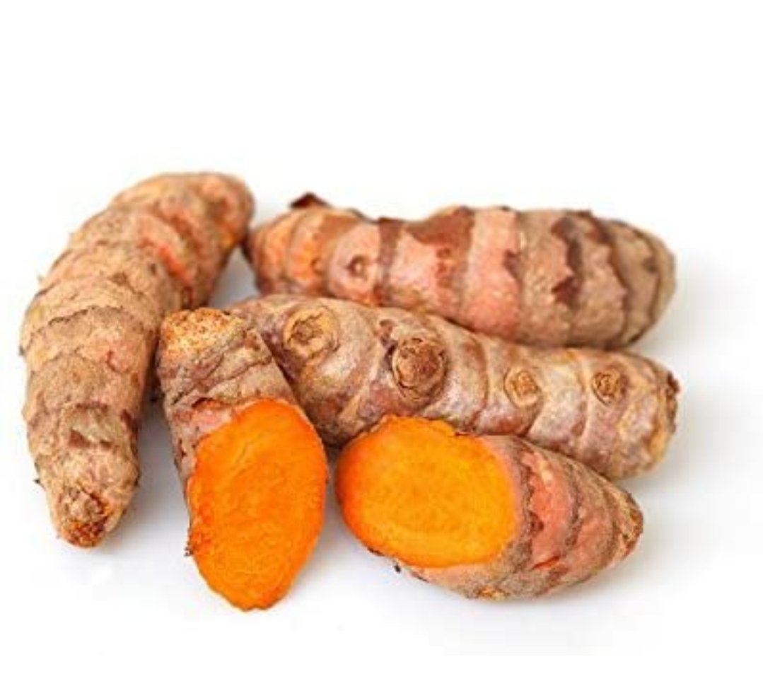 Organic Turmeric Root, Whole (Fresh) | Ash Tree of Eden, LLC