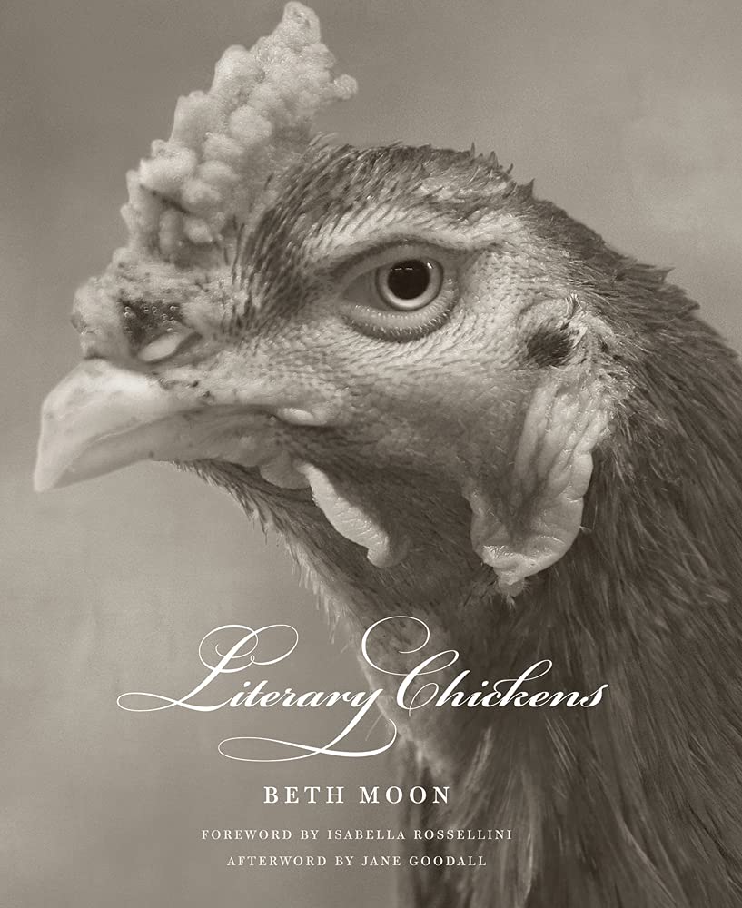 Beth Moon / Dolby Chadwick Gallery