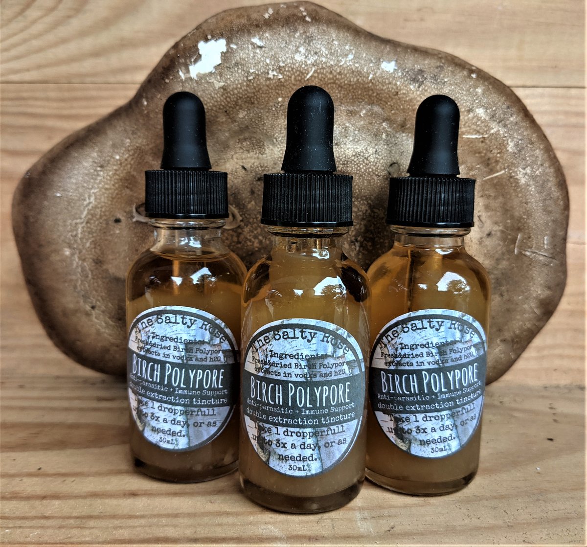 Birch Polypore Extract | The Salty Rose