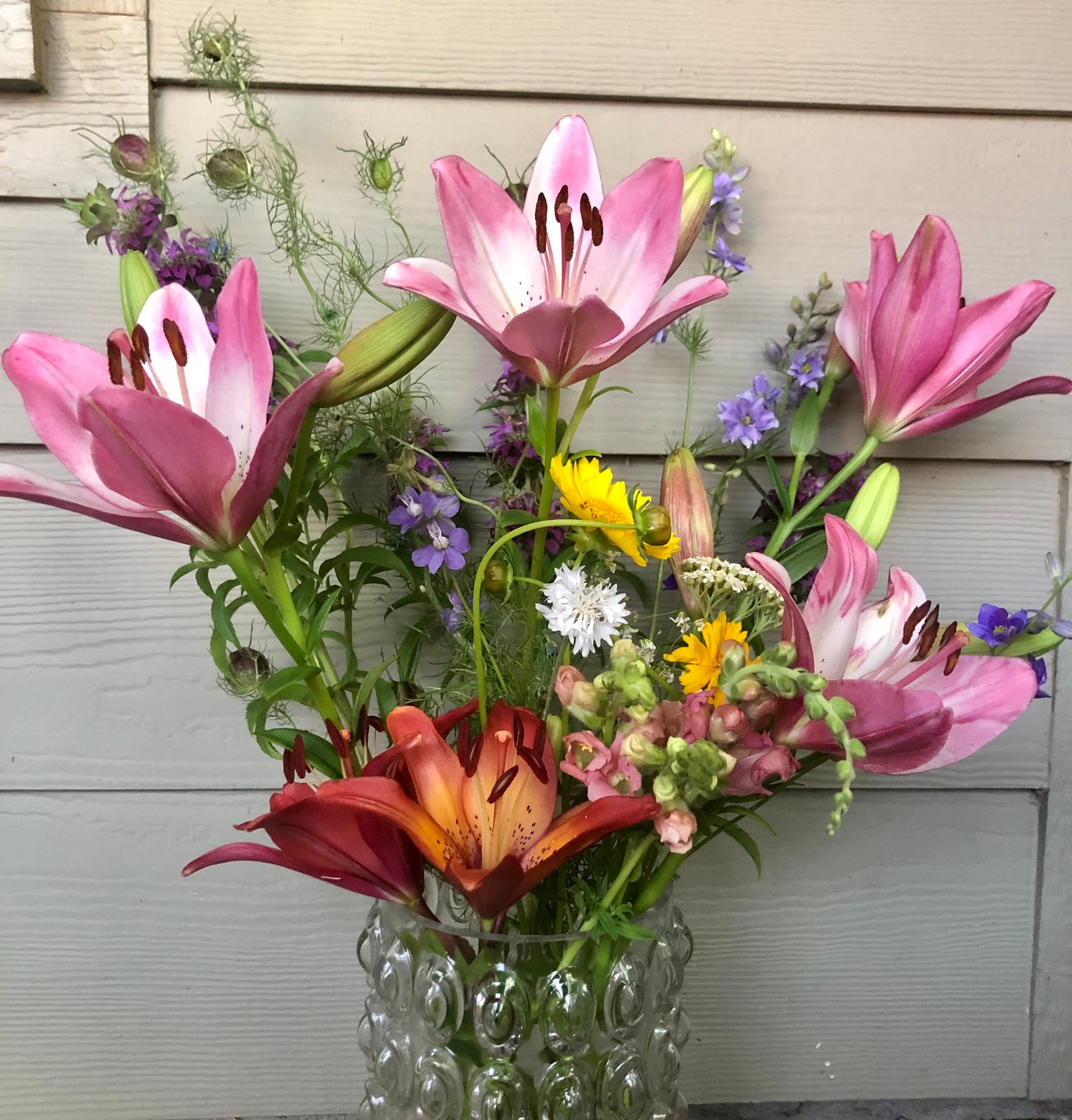 Home | Bella Fiori Flower Farm