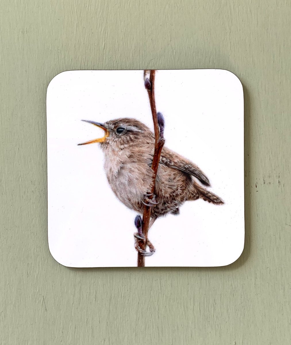 'Wren' Coaster | Anna Hamilton Art