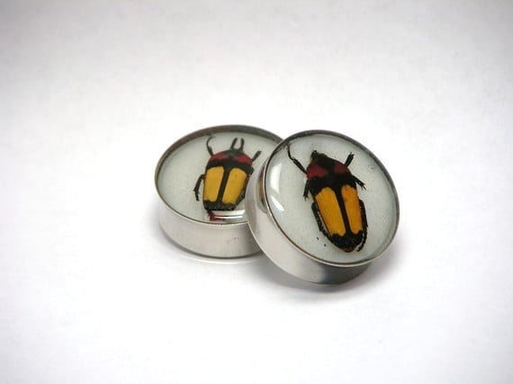 Ark's Plugs — Ready to Ship Reversible Beetle Plugs 1 Inch 25mm