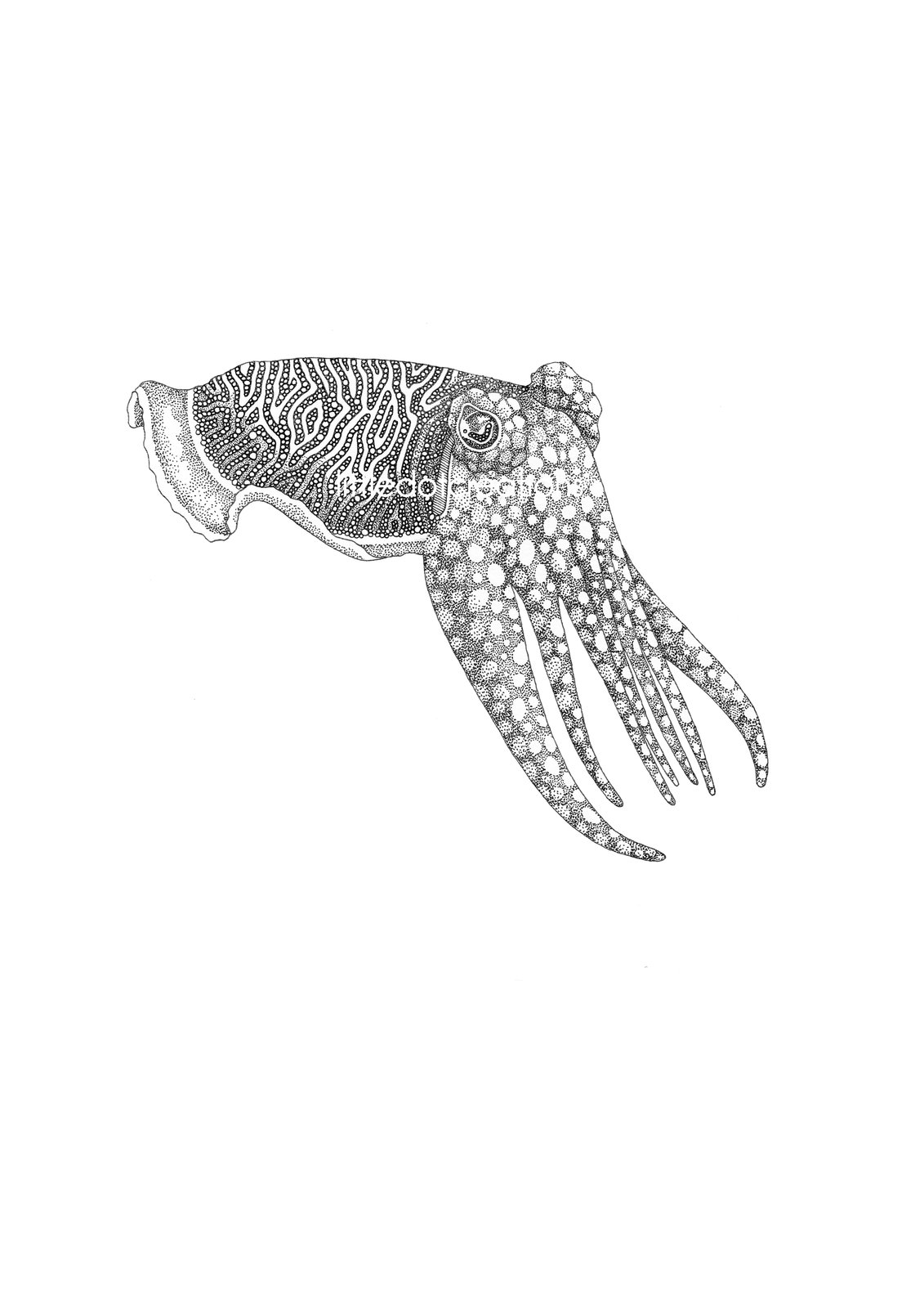 Home | Little Dot Creations