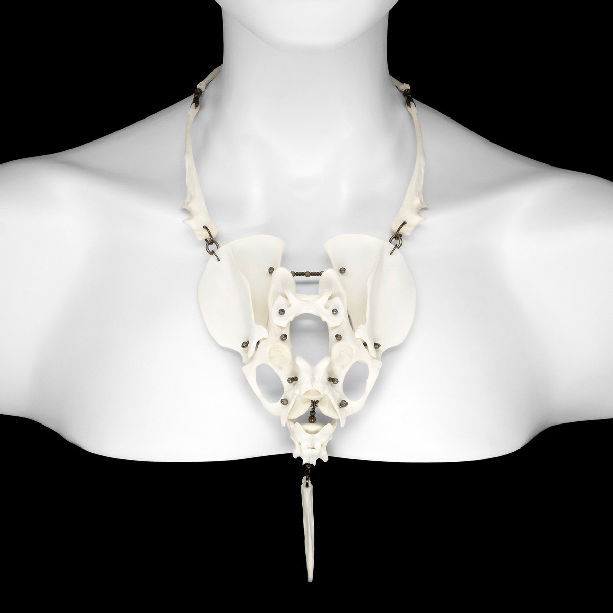 "Dida" Cat Bone and Dog Baculum Necklace | Ossuaria