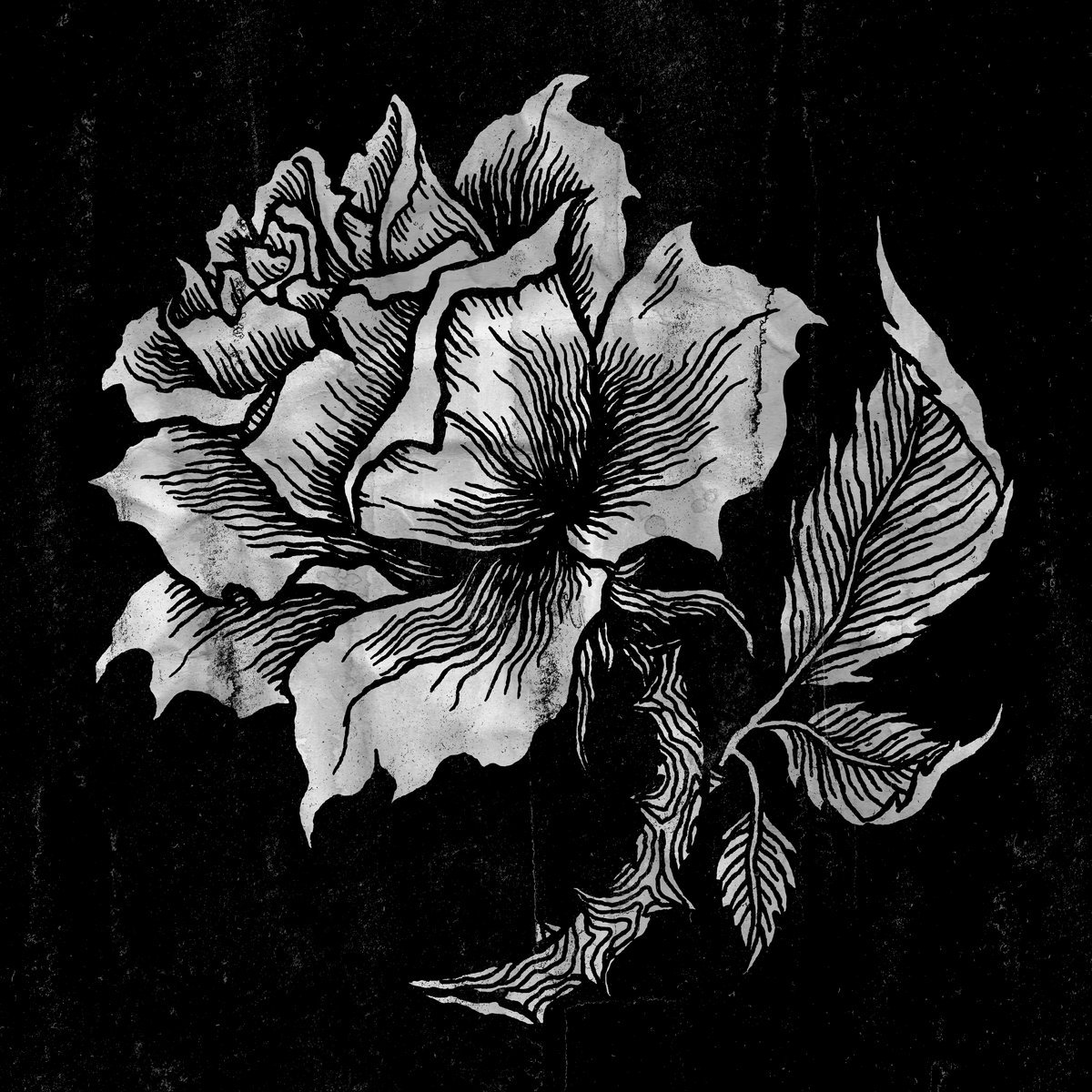 Organica001 | Black Tulip / Splinters (7" lathe-cut) | Hooded-Up