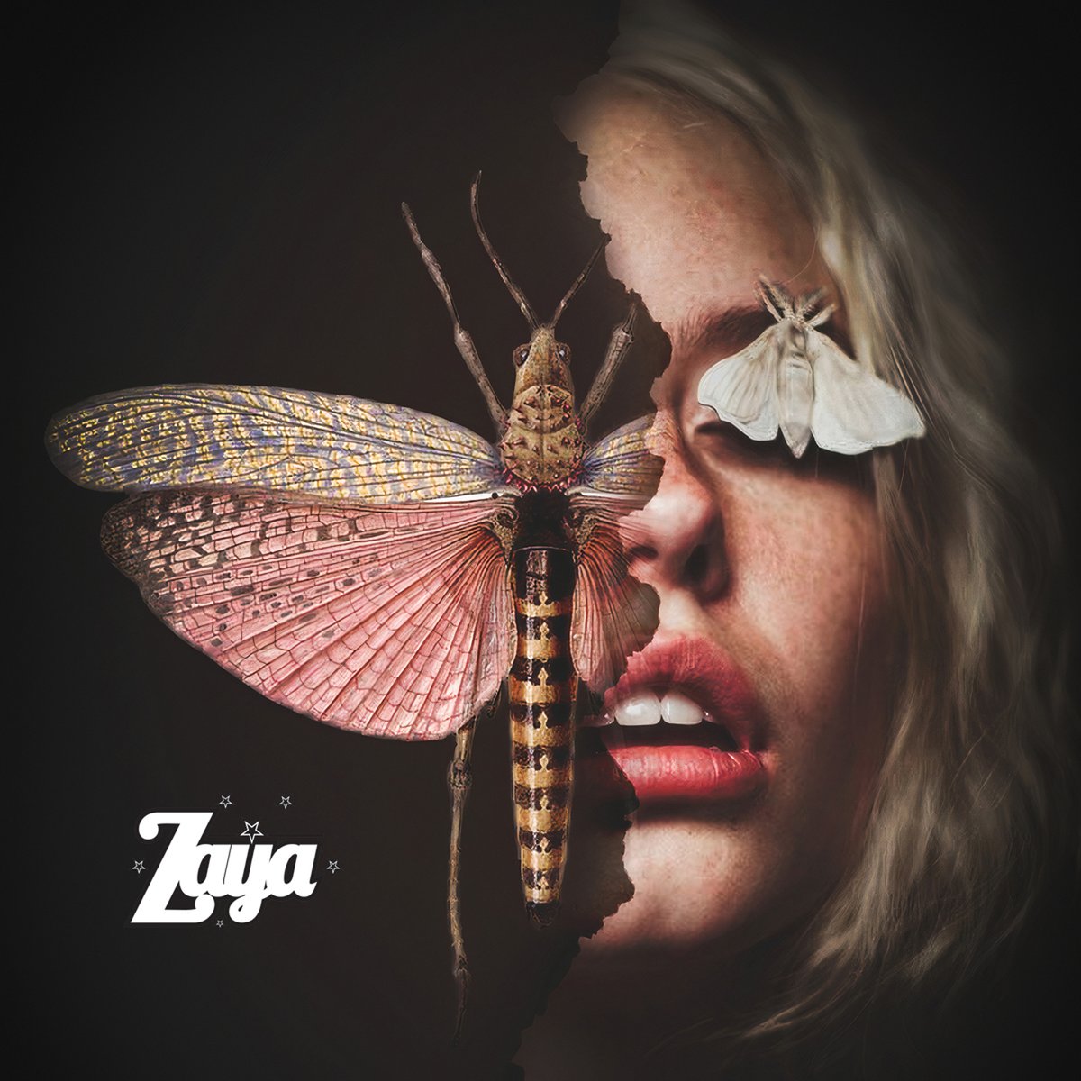 ZAYA 'NO WORDS' LIMITED EDITION VINYL | Courtesan music