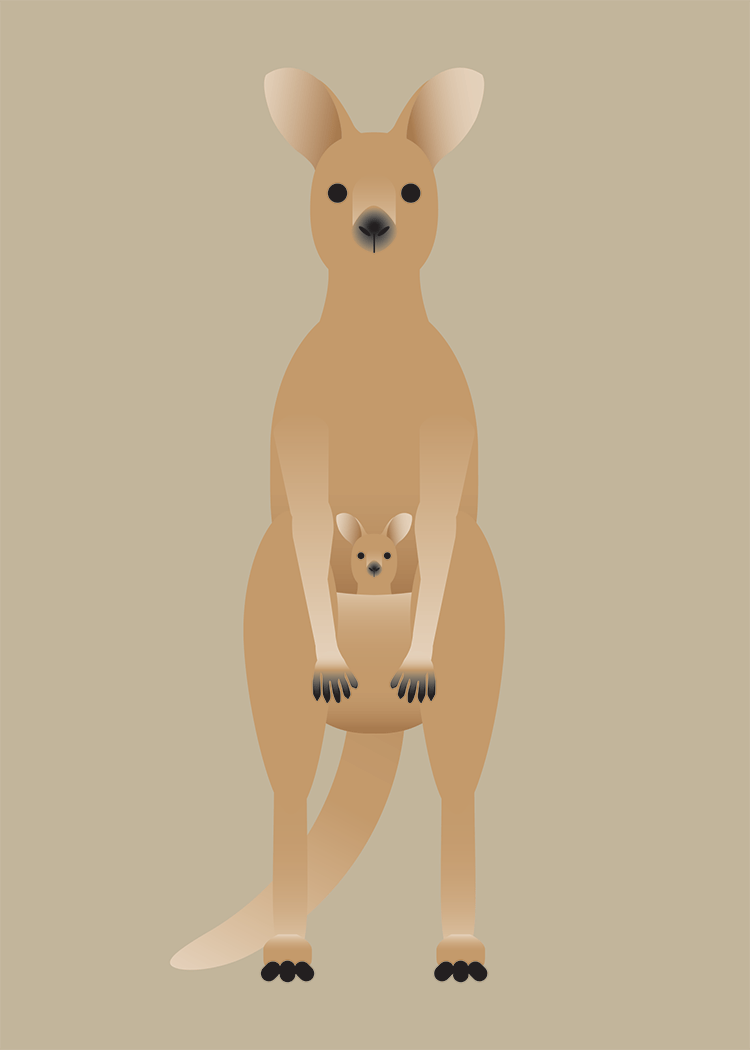 Australian Animals Collection | marcartshop