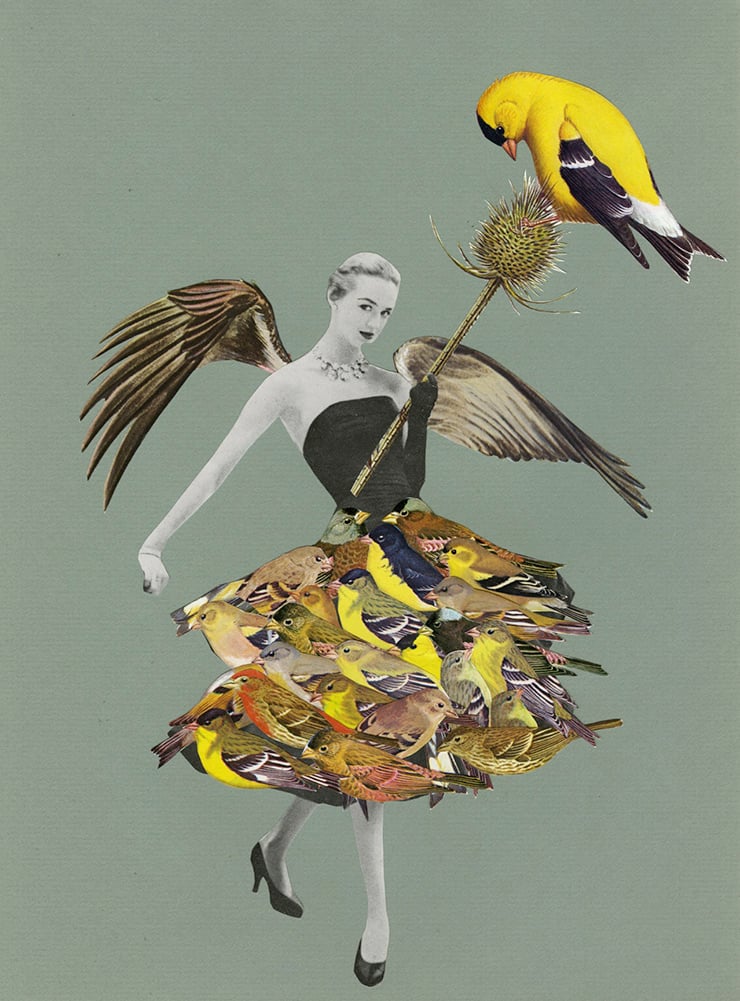 Ms. Finch. Limited edition collage print. | VivienneStrauss