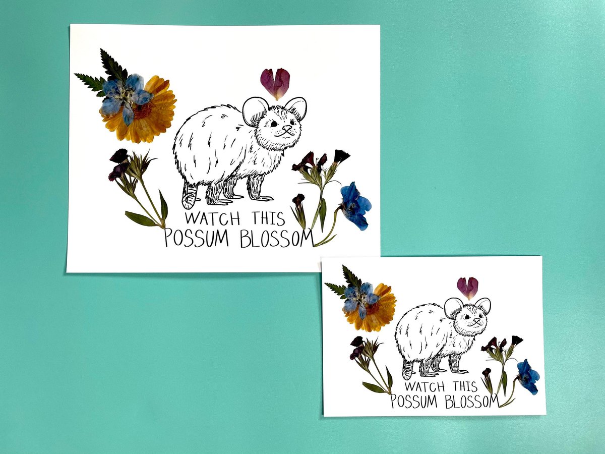 Blossom Possum print | 2Birds1Pencil