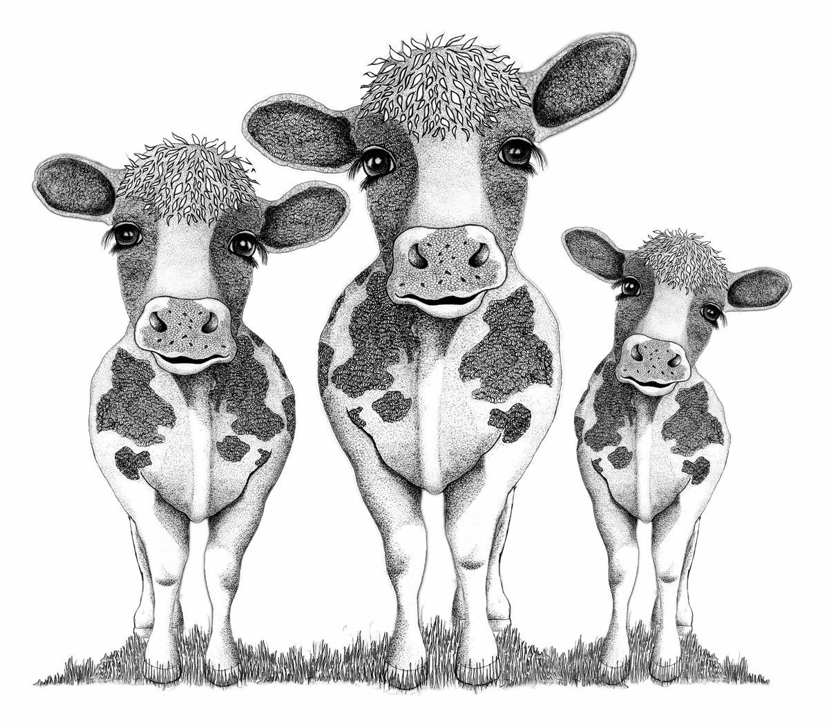 3 Dairy Cows | Wildworkz "Animal Art for the Young at Heart"
