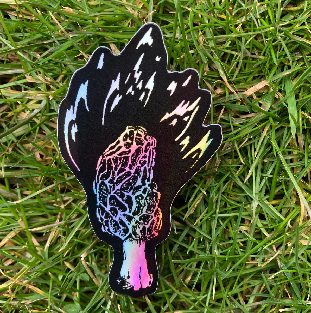 Morel Holographic Sticker | V Adams Prints