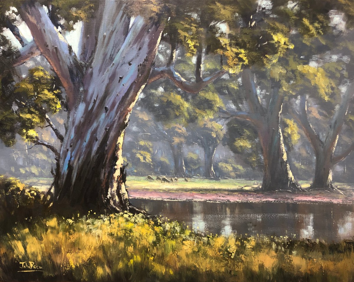 Beside The Billabong | John Rice Gallery