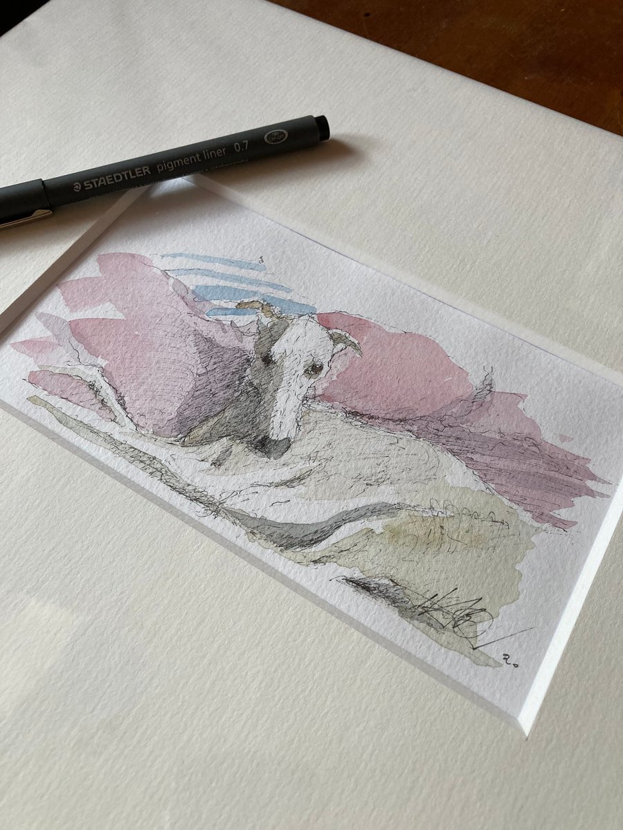 Whippet (ORIGINAL) | Stephen Hanson Art