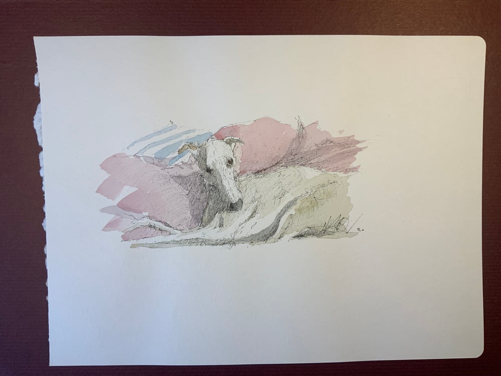 Whippet (ORIGINAL) | Stephen Hanson Art
