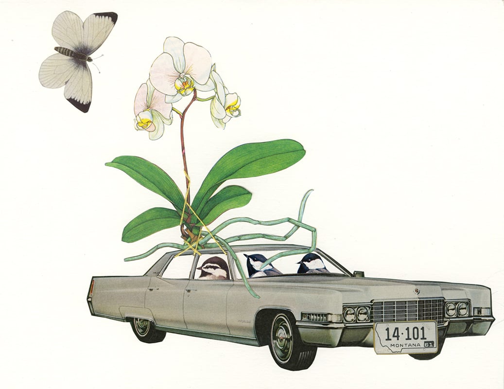One car funeral. Original paper collage. | VivienneStrauss