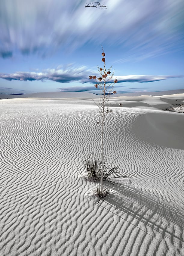 Home | Klaus Priebe Photography