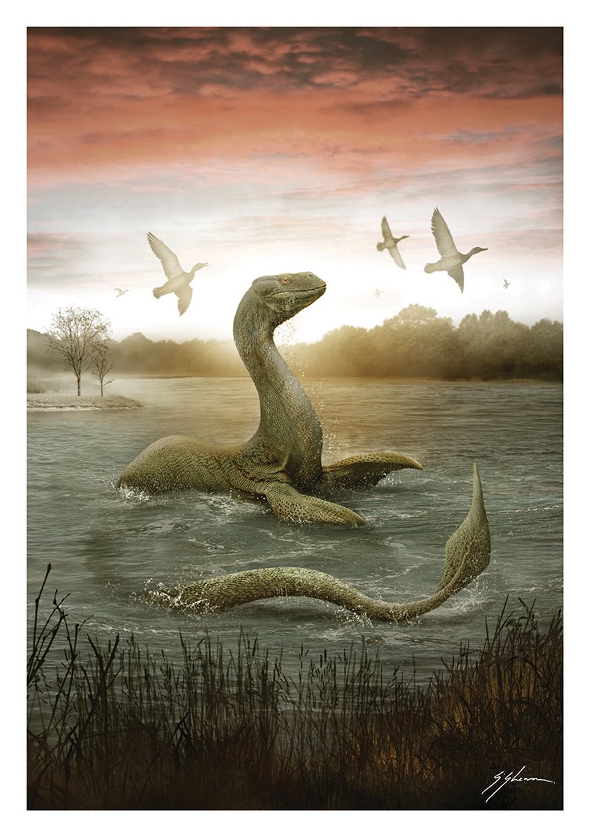 ALTAMAHA-HA | Mister Sam Shearon