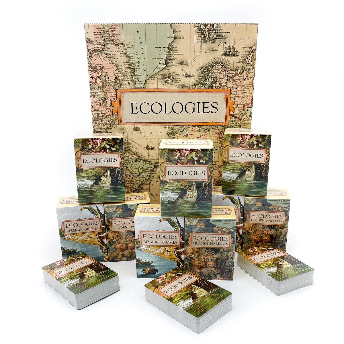 Ecologies Ultimate Educator Bundle | Montrose Biology