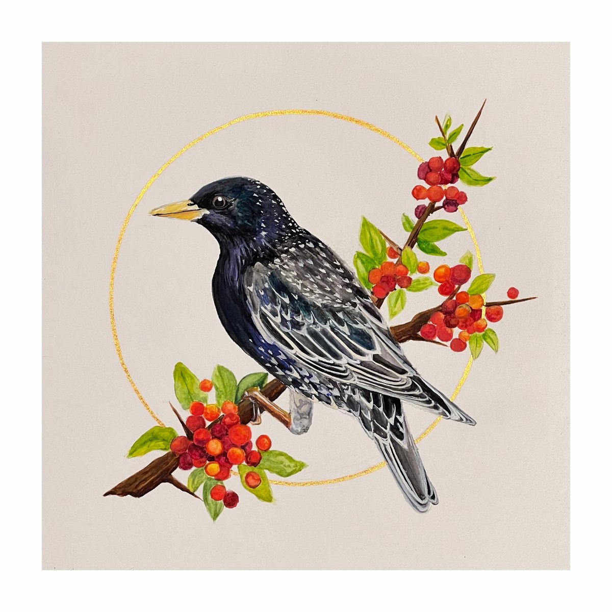 Starling | Jen Adams Art