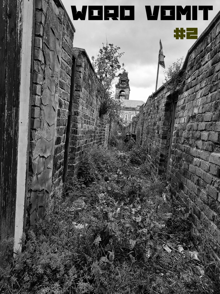 Word Vomit #2 | strictly unprofessional