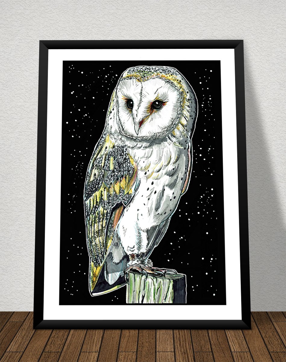 Owl In Repose (NIght) Art Print Signed A3 Size (16" x 12") | The Dark ...