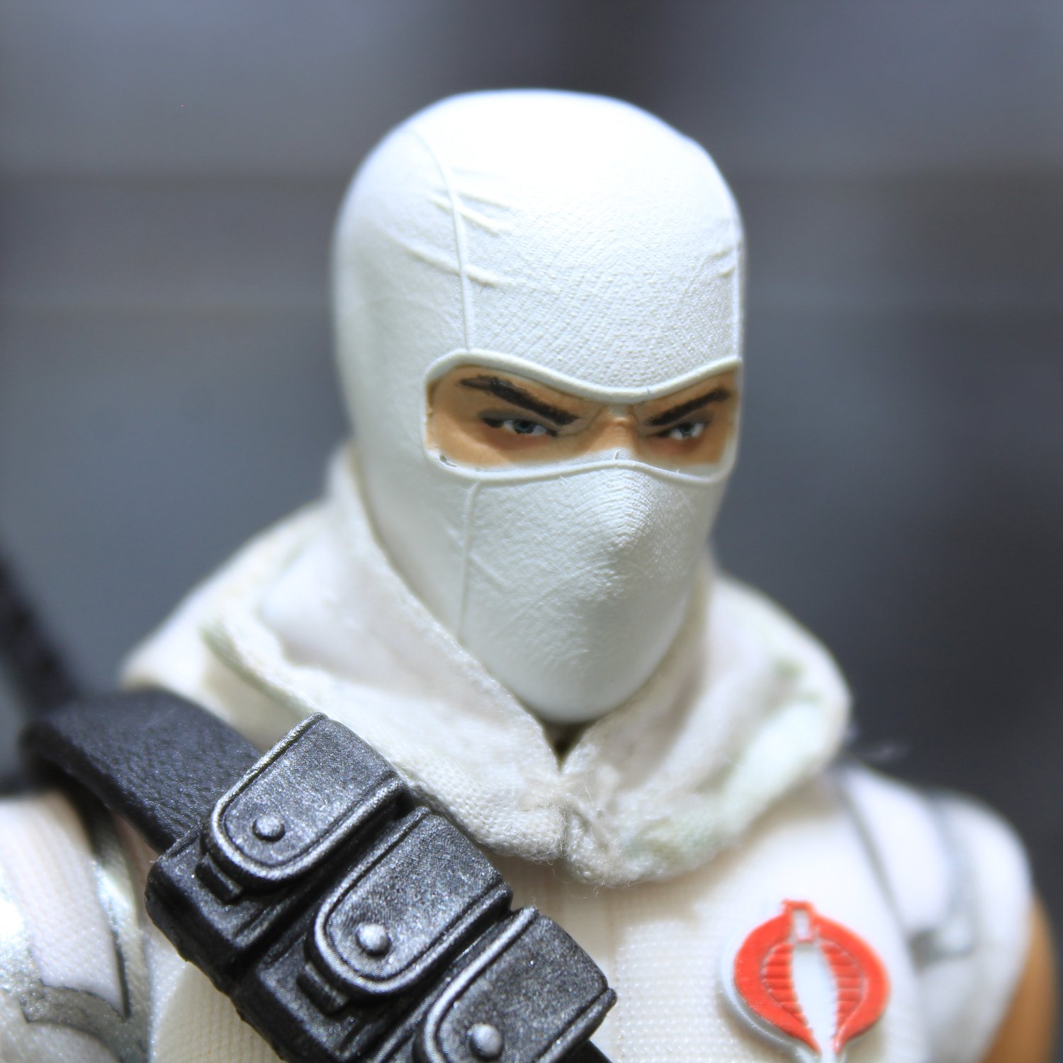 Cobra Ninja | VAULT Custom Figures