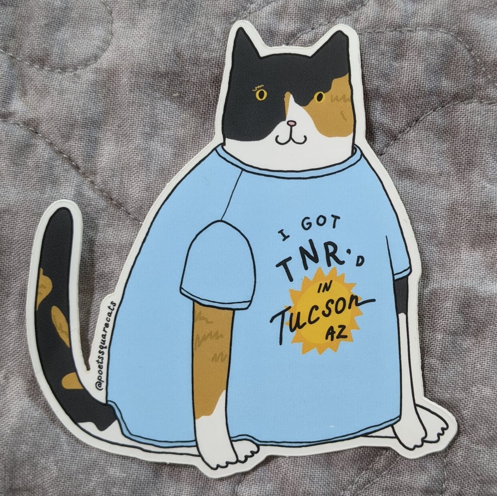 Poets Square Cats Sticker Pack 2 - Sad Boy Summer & Monkey TNR | catscapes
