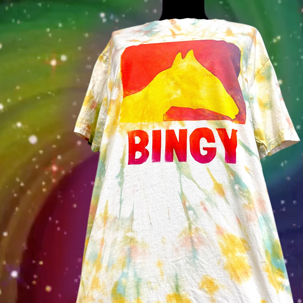 Bingy Horse Tie Dye T-Shirt | Bings Blessings
