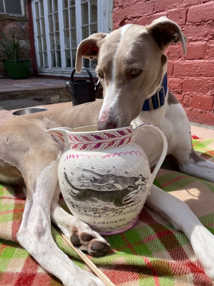 Large Lurchers jug | Sussexlustreware