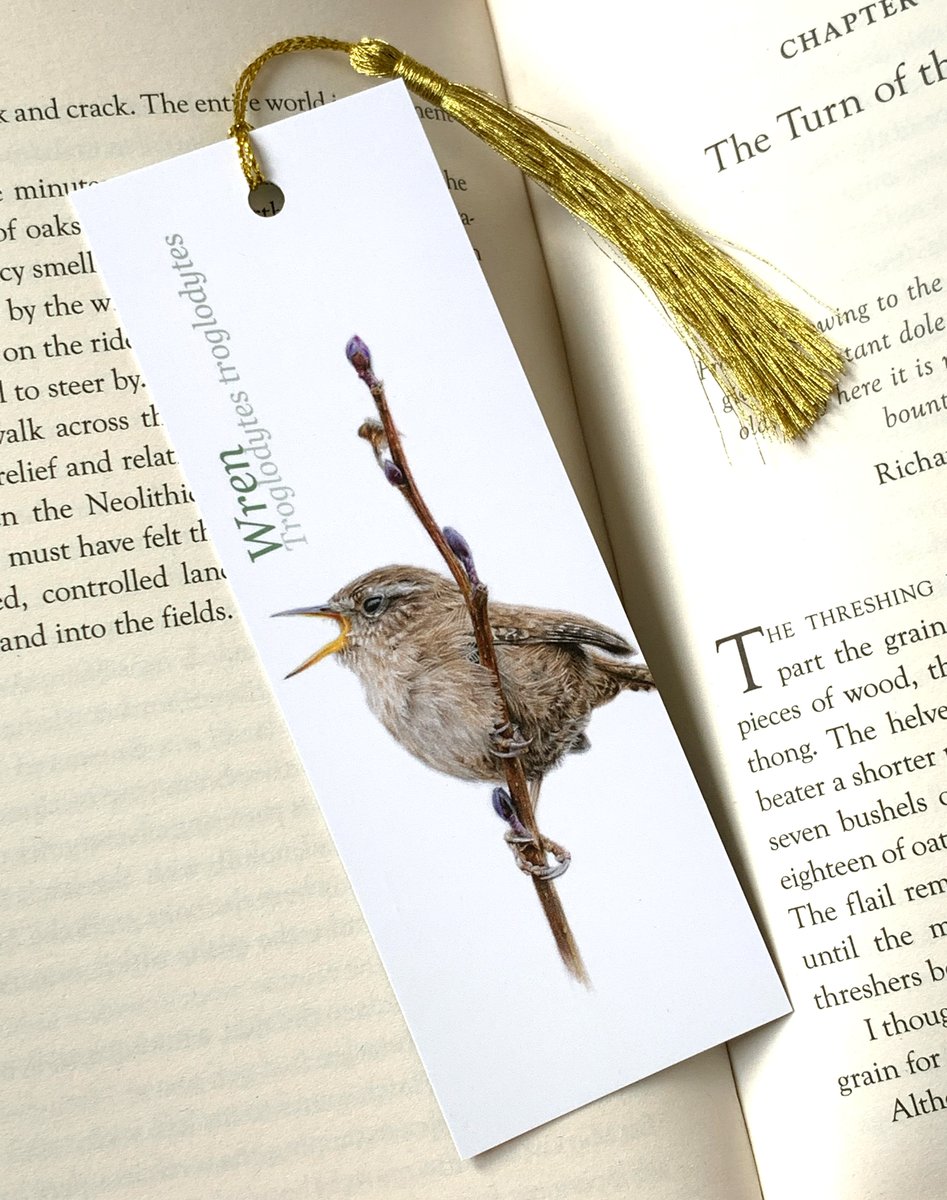 Wren Bookmark | Anna Hamilton Art