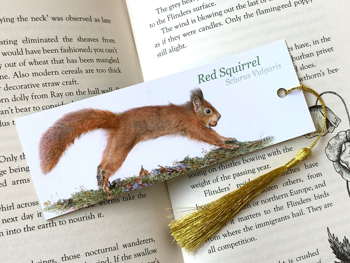 Red squirrel bookmark | Anna Hamilton Art